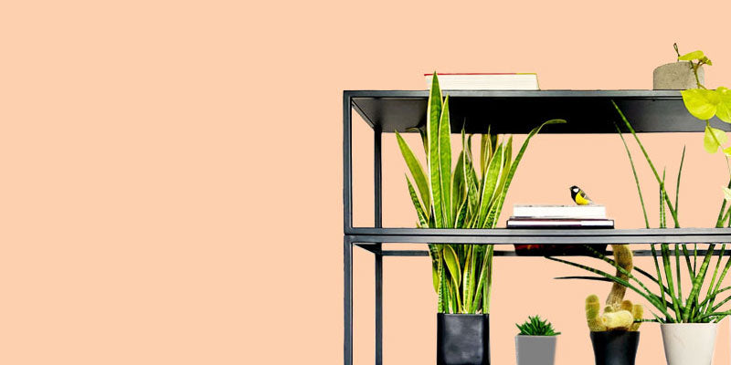 AUFBEWAHRUNG – Getaggt "Wallboards" – ZLEEK